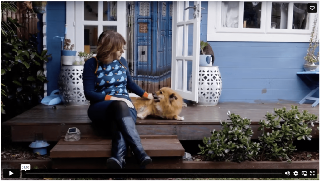 Personal Brand Examples | The Vector Impact