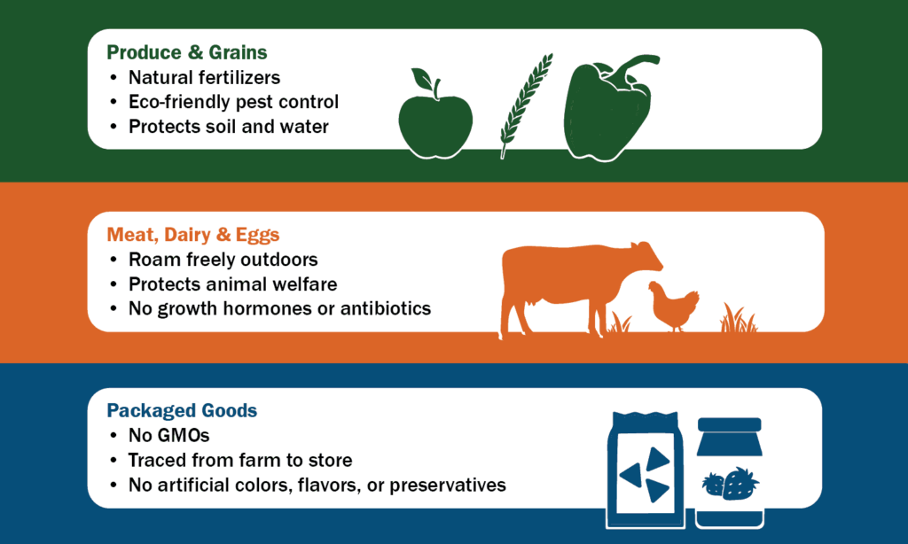 Ethical Consumption | The Vector Impact