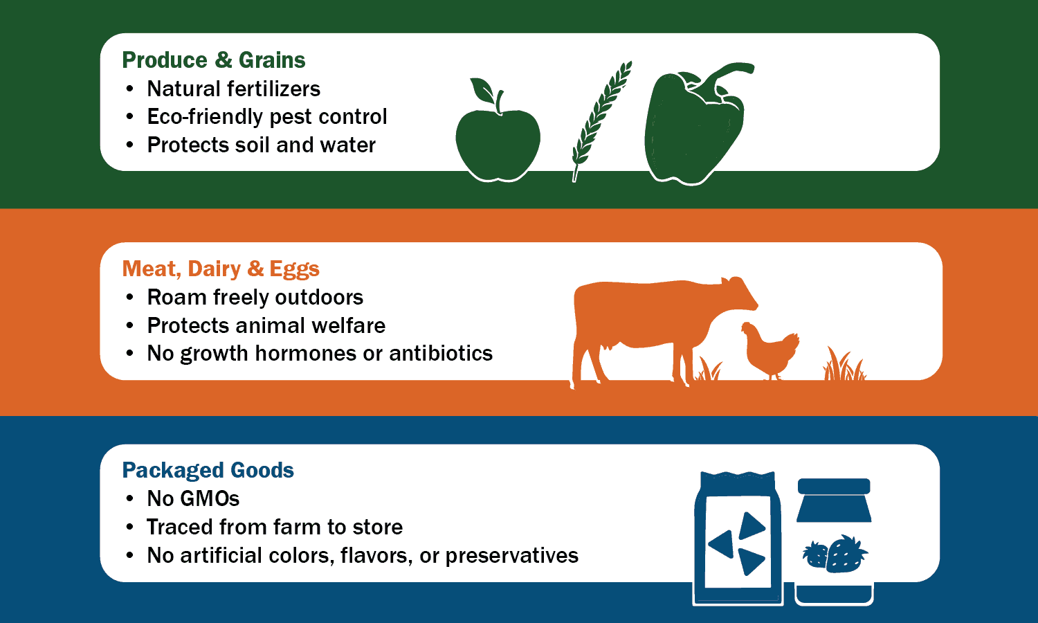 Ethical Consumption | The Vector Impact